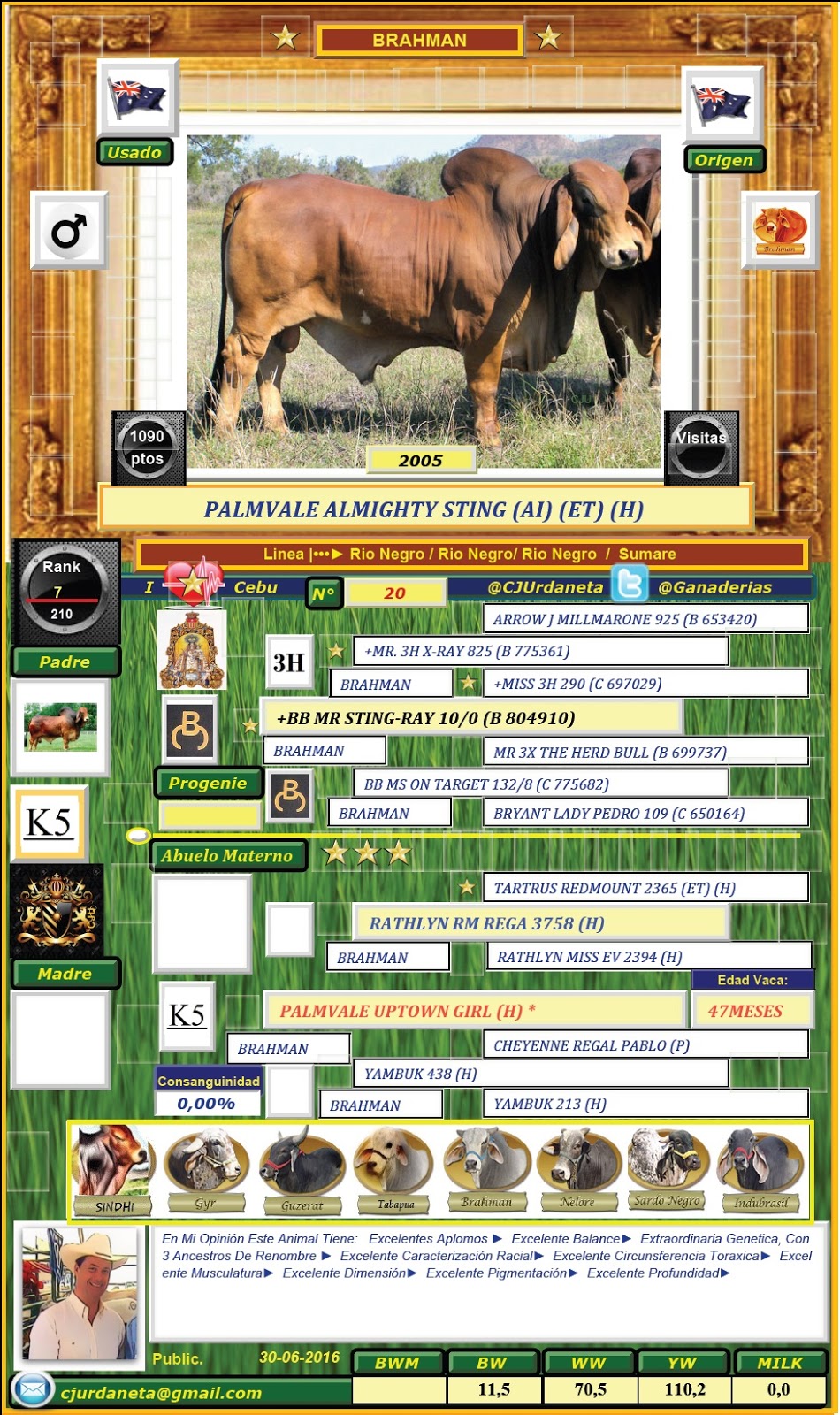 CEBÚ ♥ ♥ ♥ ZEBÚ♔♕♖♗♘ LA PASIÓN POR EL #CEBÚ #ZEBU: PALMVALE ALMIGHTY ...