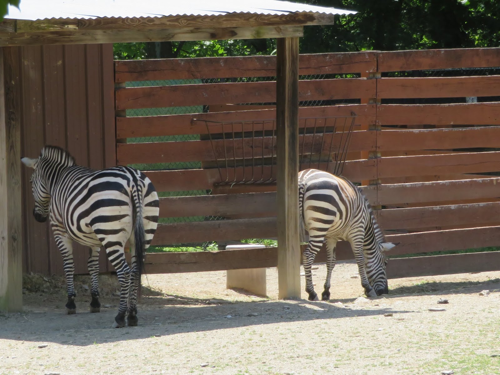 Randuwa II: Lehigh Valley Zoo - Schnecksville, PA: part 3 of 5 (from ...