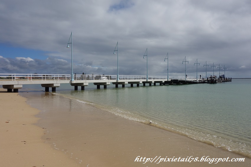 Steel Tree @ The Foreshore - Perth, Western Australia