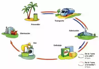 Procesos de Producción: Etapas
