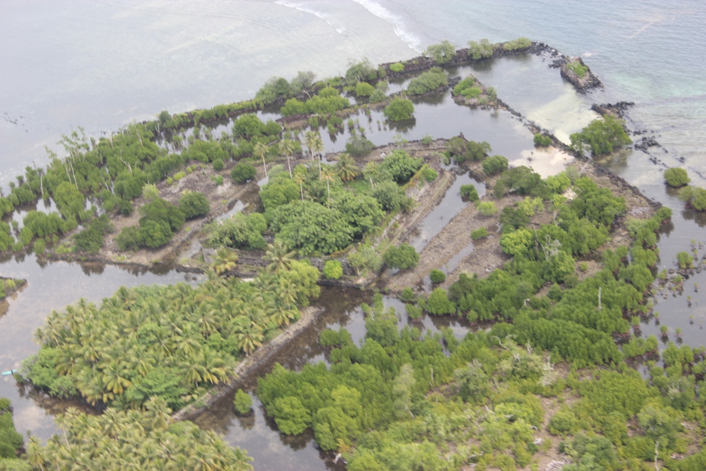 Cocktails out of Coconuts: Mokil Trip