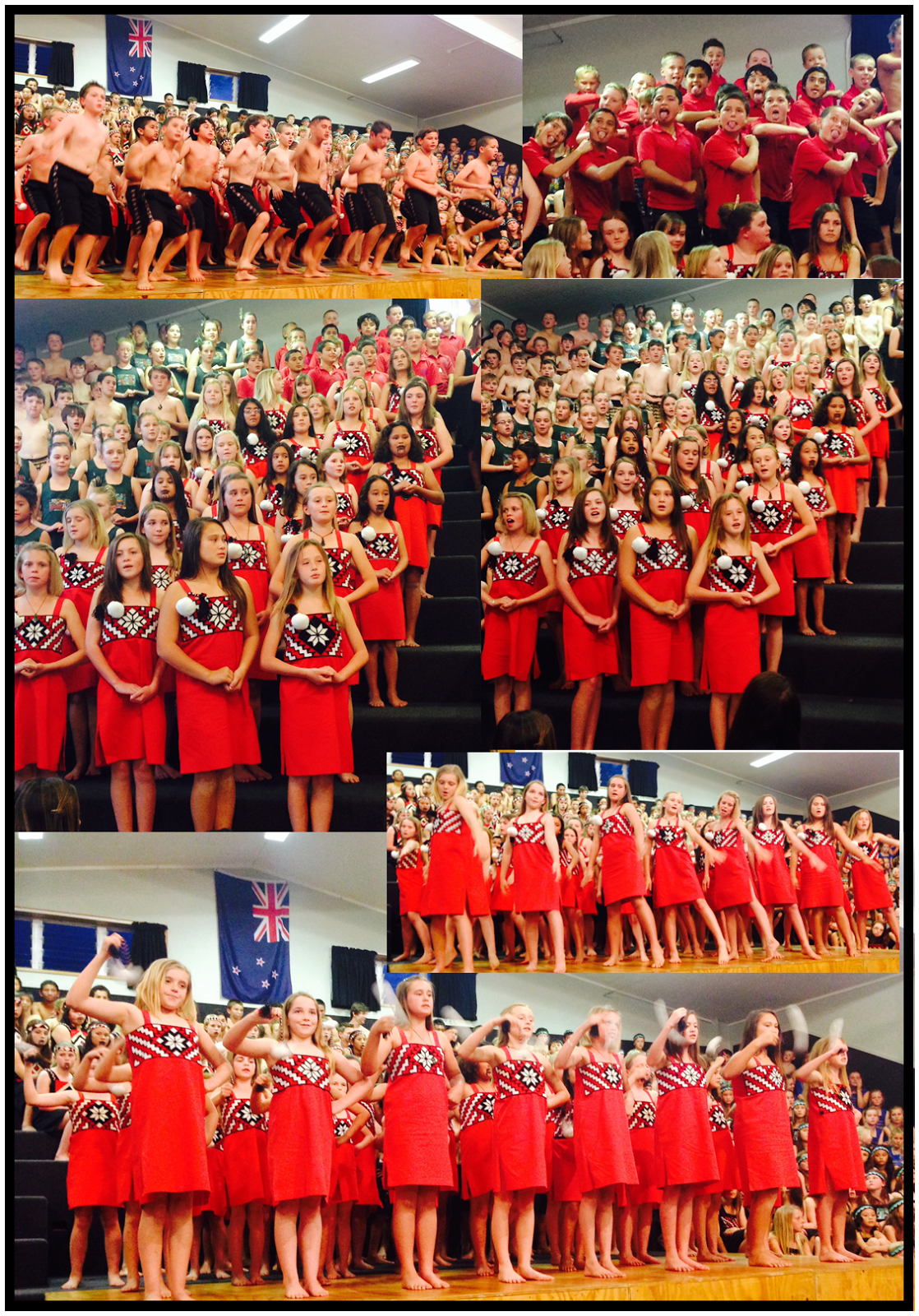 Bledisloe School - Room 13: Kapa Haka Festival