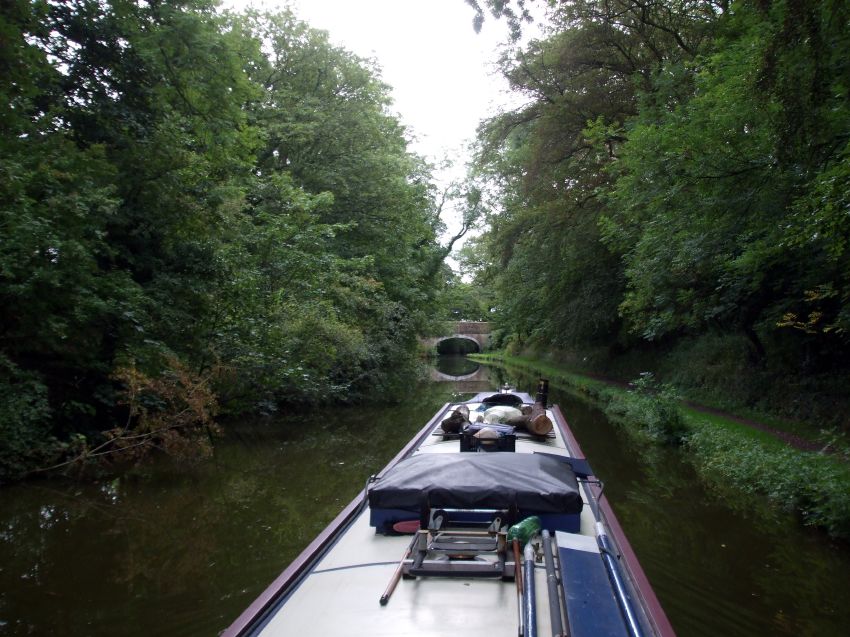 Seyella's Journey: A better day.