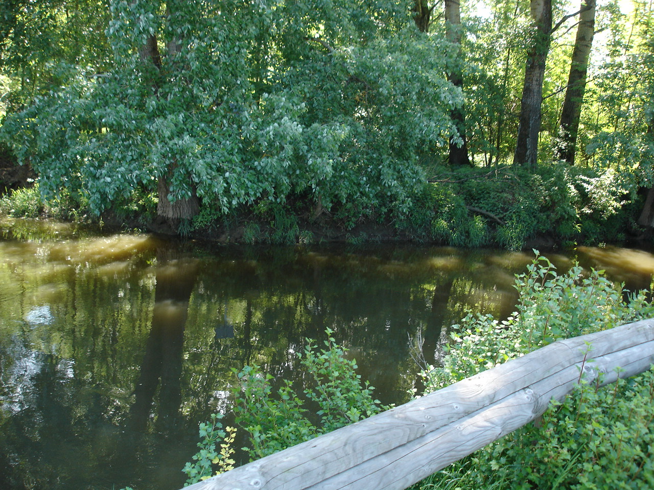 Der Main... von Quelle bis zur Mündung: Main-Radweg - Der Tourenbericht
