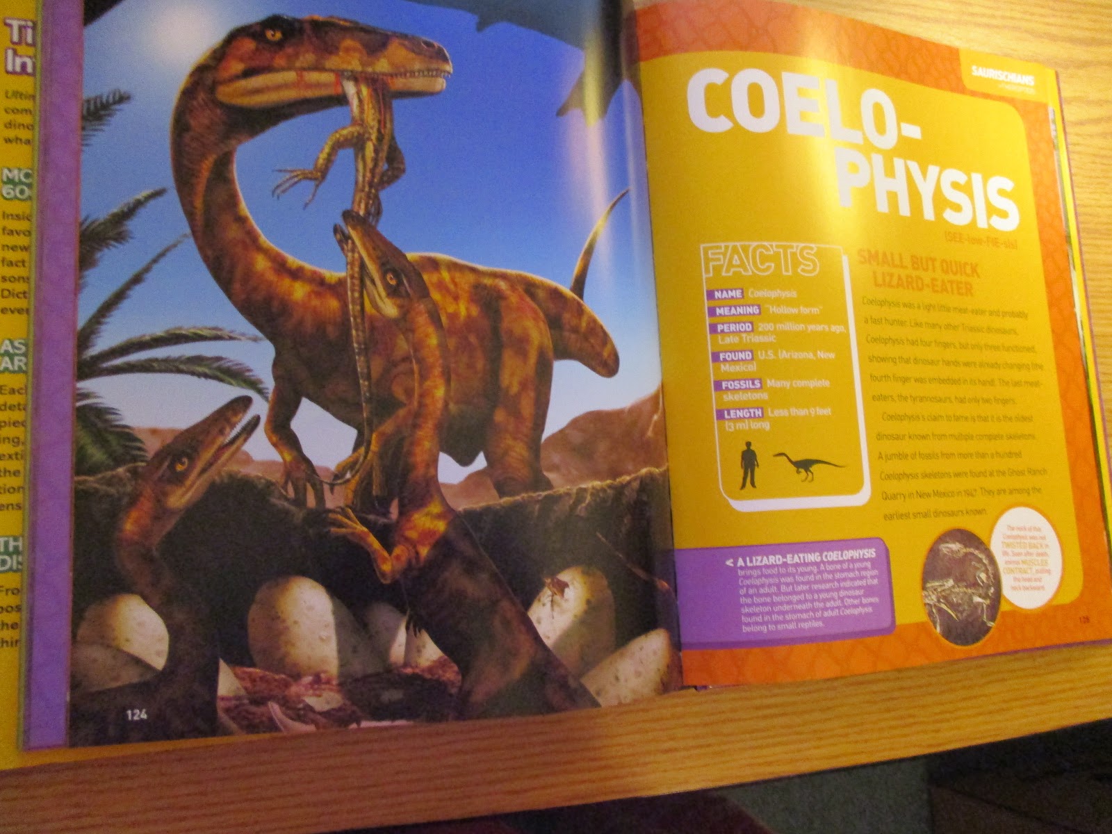 Missy's Product Reviews : National Geographic Kids Ultimate Dino-Pedia ...