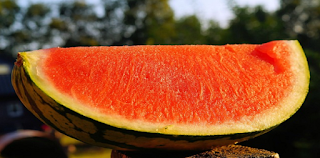 La verdad oculta de la sandía sin semillas - Propiedades y ...