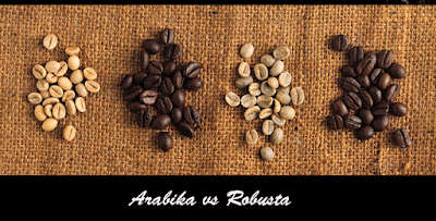 Perbedaan Biji Kopi Arabika dan Robusta Yang Harus Kamu Tahu!
