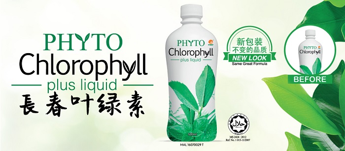 PHHP Online Marketing - PHHP Phyto Products: PHHP Phyto Chlorophyll ...