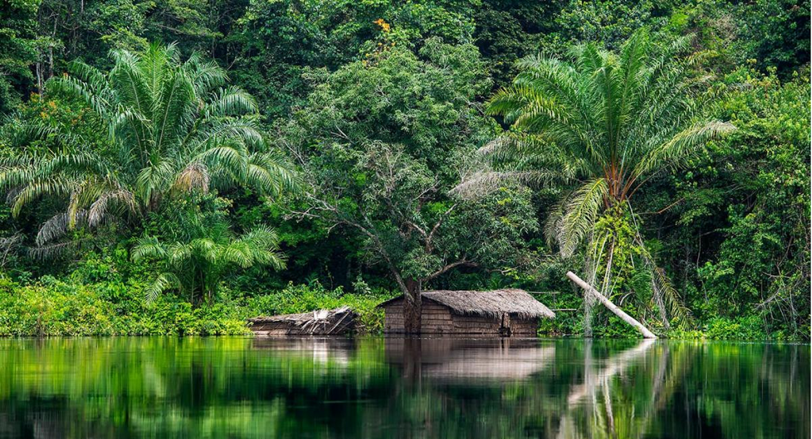 tropicalia: " rio Zaire ou Congo"