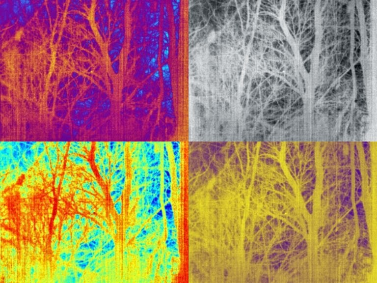 Infrared Birding: Infrared 101