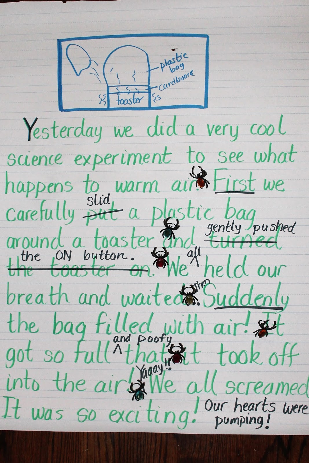 First Grade Wow: Spider Writing