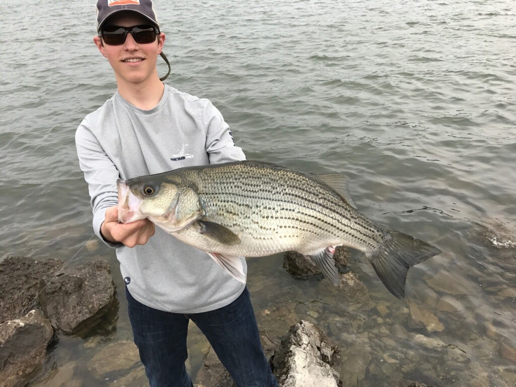 The Show Me Fly Guy: Wipers/Hybrids on the Fly- The Conclusion