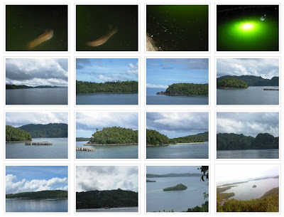 Turtz on the Go: The Beauty of Dinagat Islands