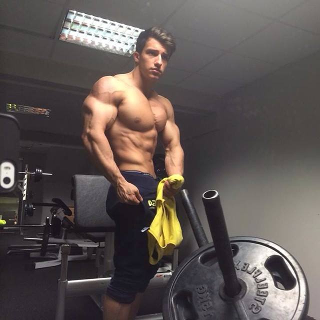 the beauty of male muscle: Tim