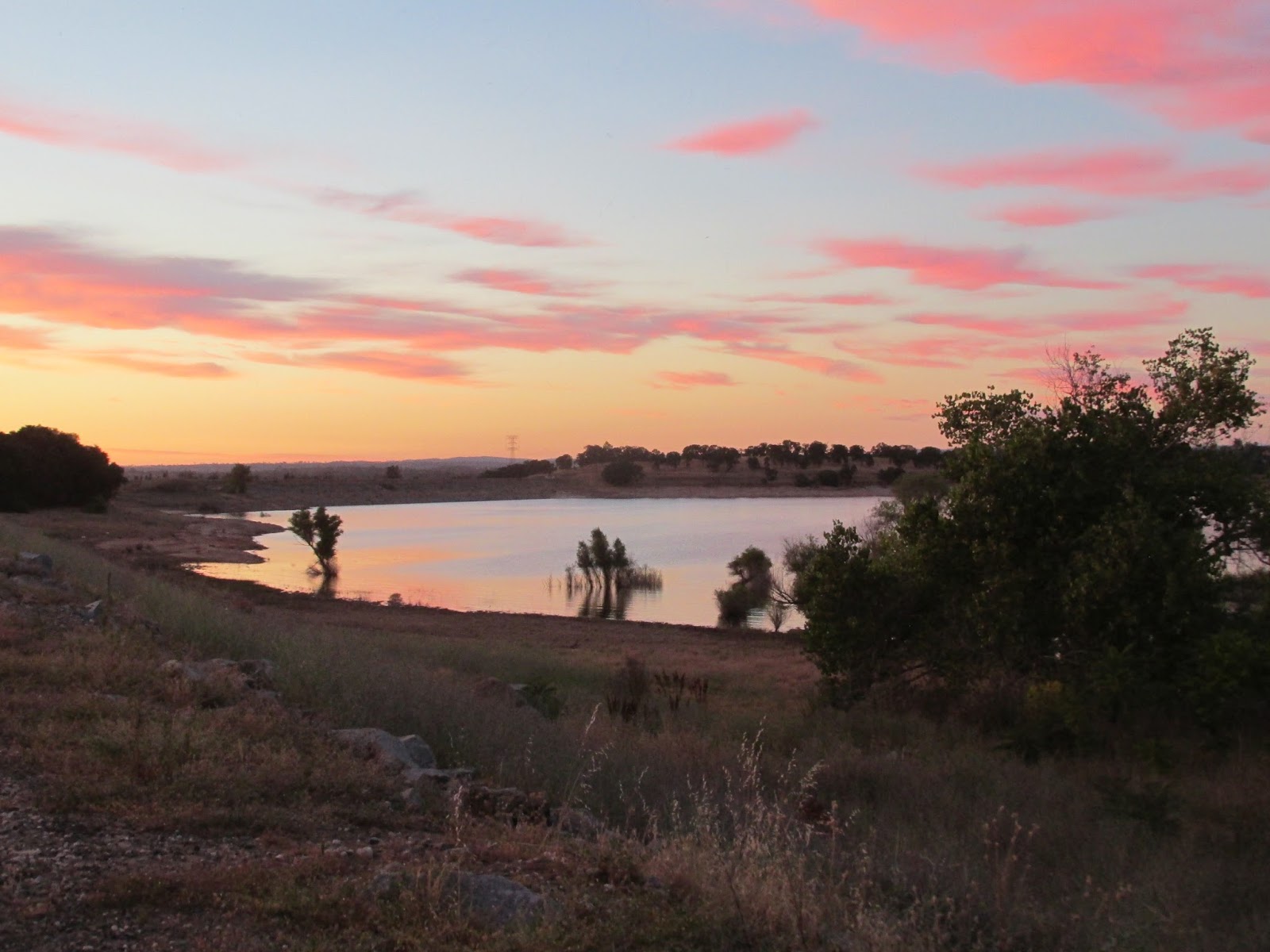 Touring America 2021: Folsom Lake SRA Folsom, California
