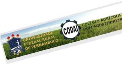 Ensino profissionalizante: Codai PS 2017.1