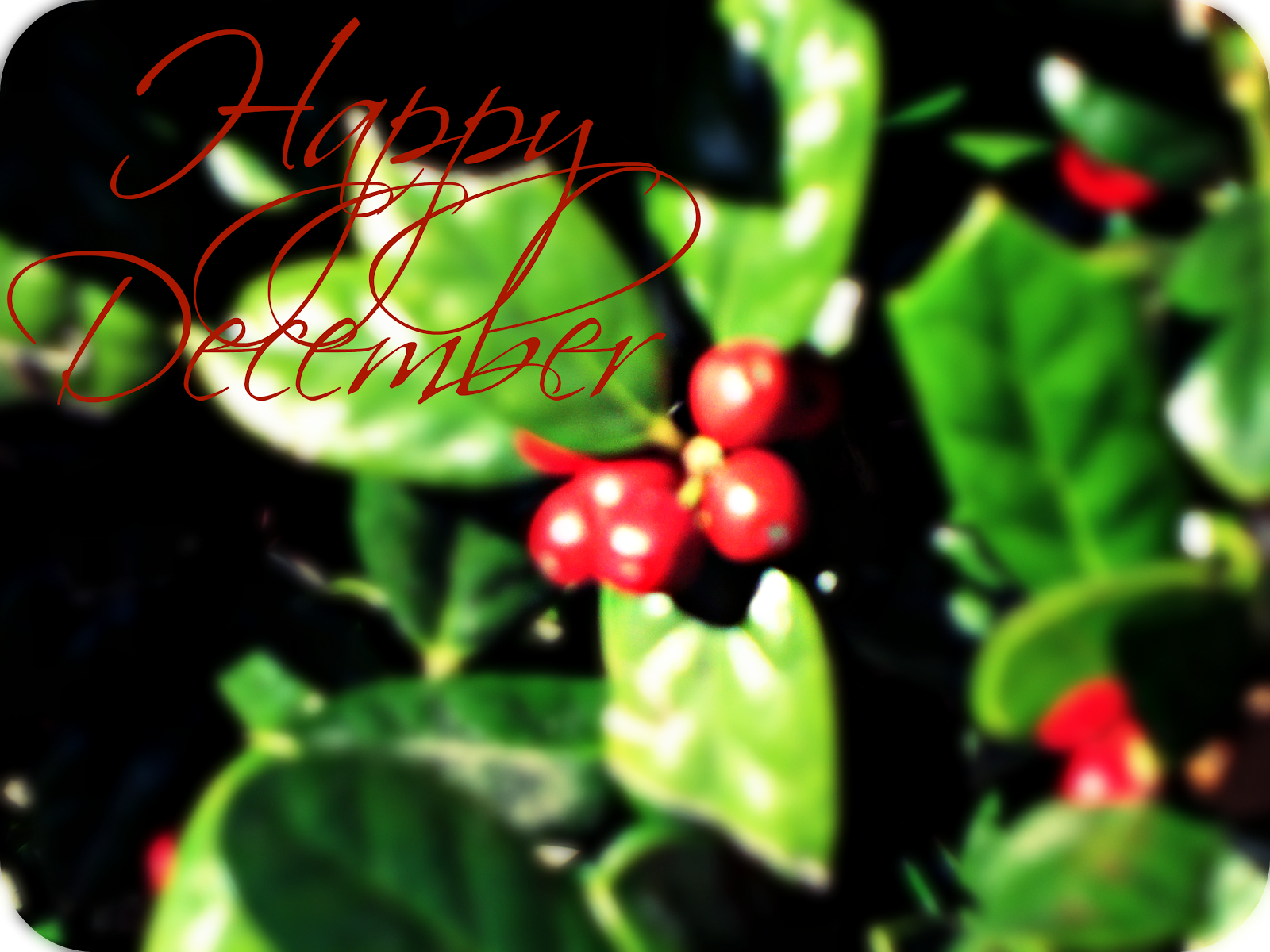 Happy December | It's About the Journey