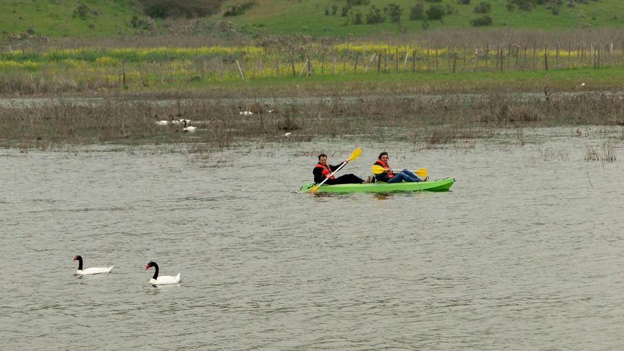 RUSTICA TURISMO RURAL COMUNA DE NAVIDAD, SEXTA REGIÓN, CHILE: RÚSTICA ...
