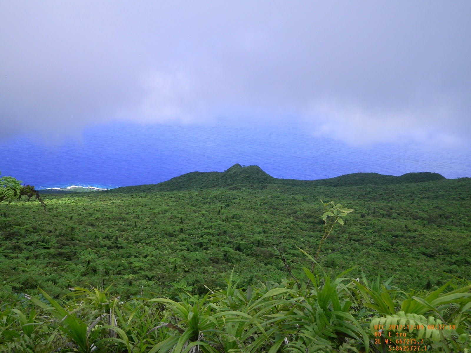 Going to Paradise: Field Work on Tau Island