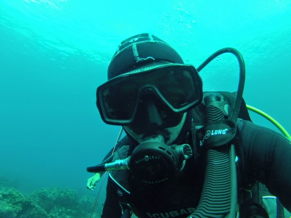 Best Spot Azores PADI 5* Dive Center: Underwater Azores Scuba Diving Buceo