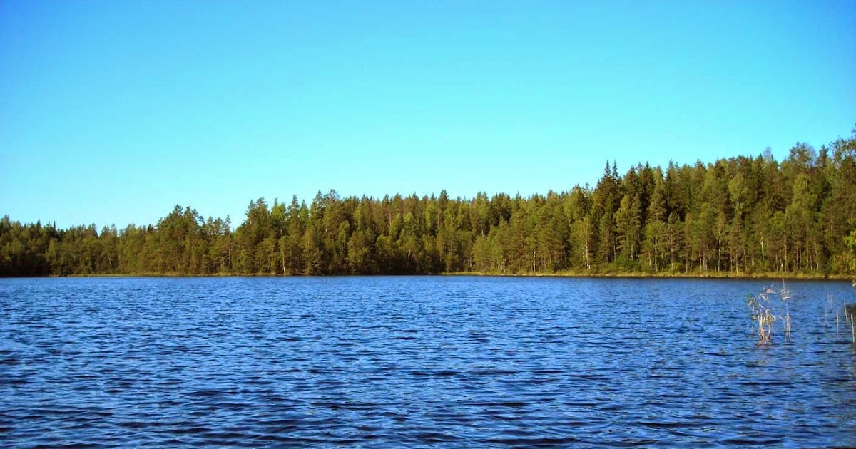 ¿Qué son los recursos renovables?