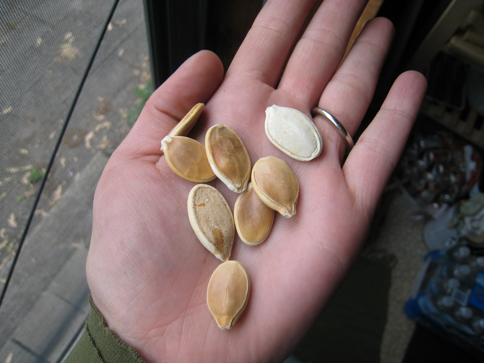 Tiny Happy (Urban) Farm: One-seed landscaping