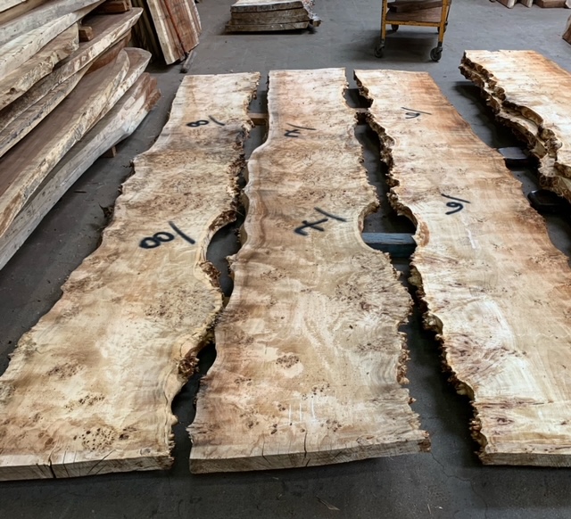 Tropical Exotic Hardwoods: Mappa Burl!