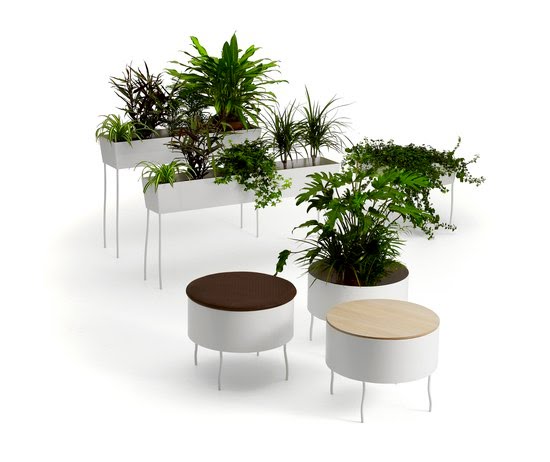 avant garde design: planter time.