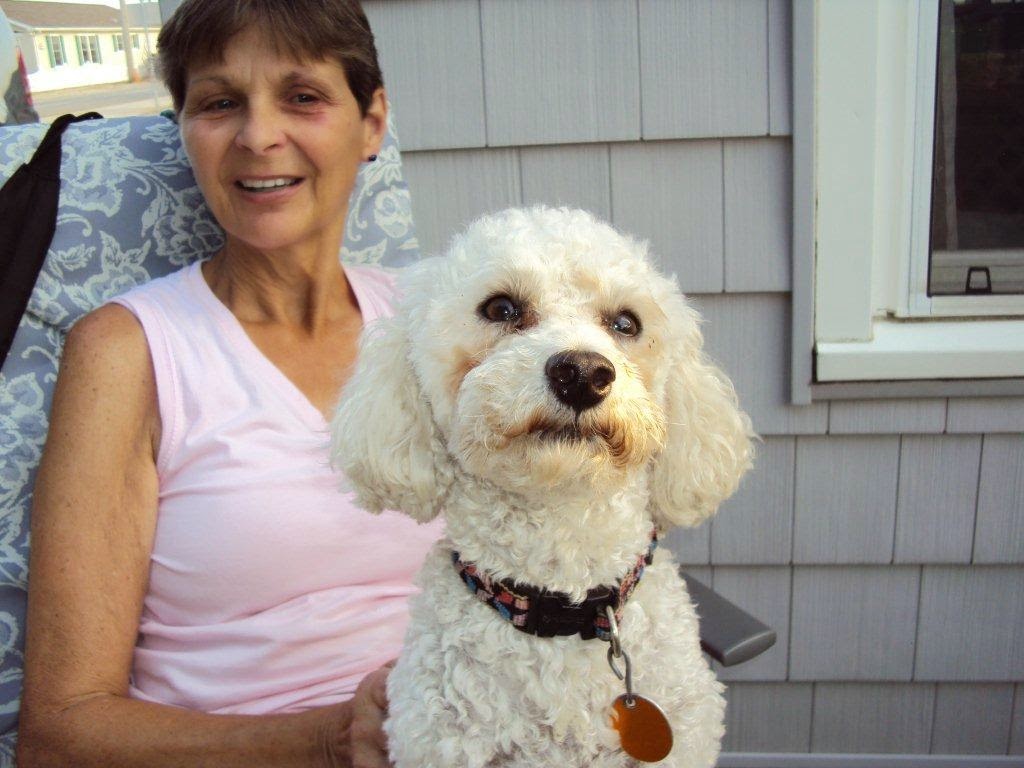 CHRIS RICE COOPER BLOG is ART and HUMANITY Framed In The PhotoFeature ...