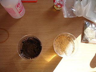 Πειράματα Φυσικής με Απλά Υλικά Science Experiments for Kids: Χημεία