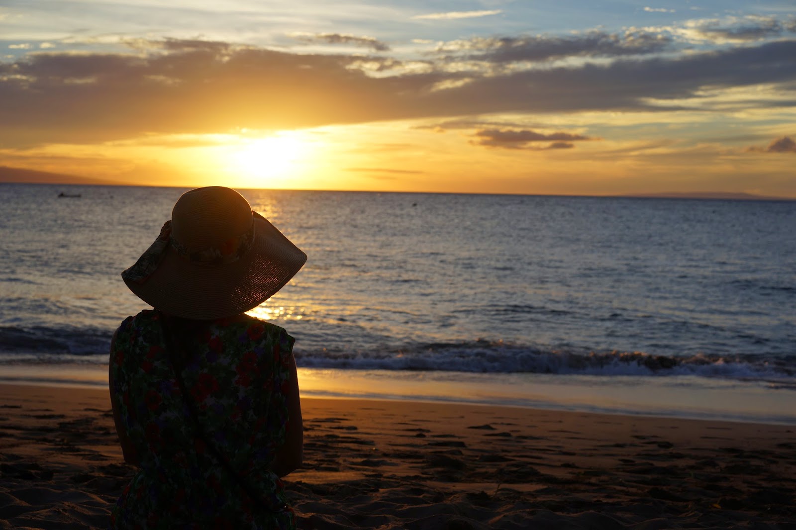 [Free Photo] Hawaii Maui beach, sunshine | LEEHYEKANG *친절한 혜강씨 (Photo)