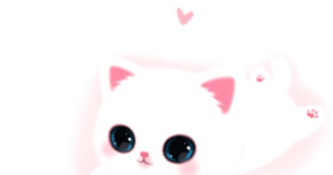 Cat Gif Wallpapers | Important Wallpapers