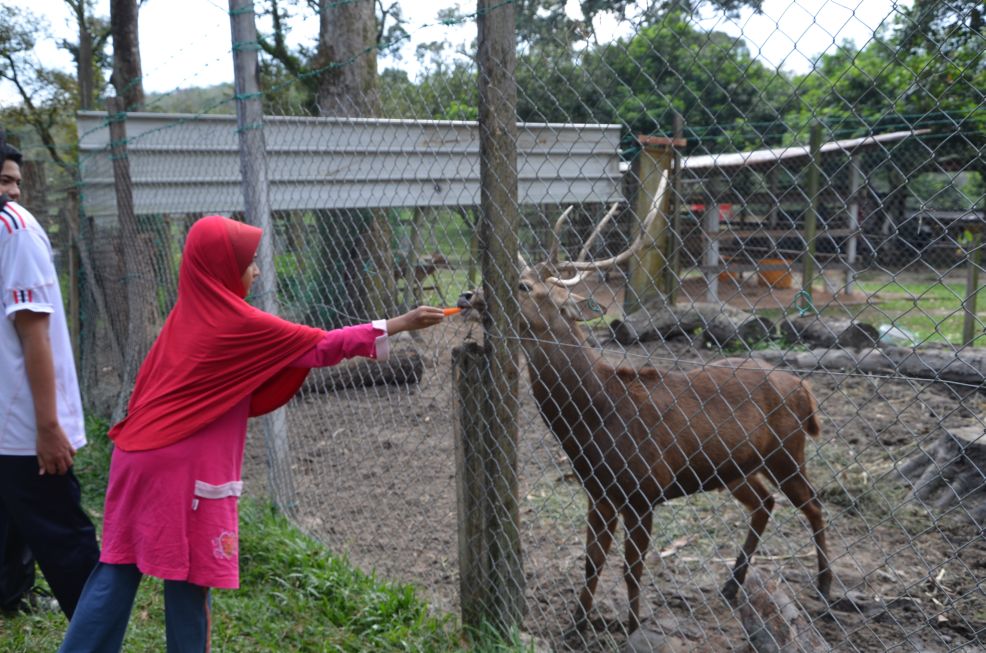 Memoirs Keluarga...: 226. Taman Arnab BROGA