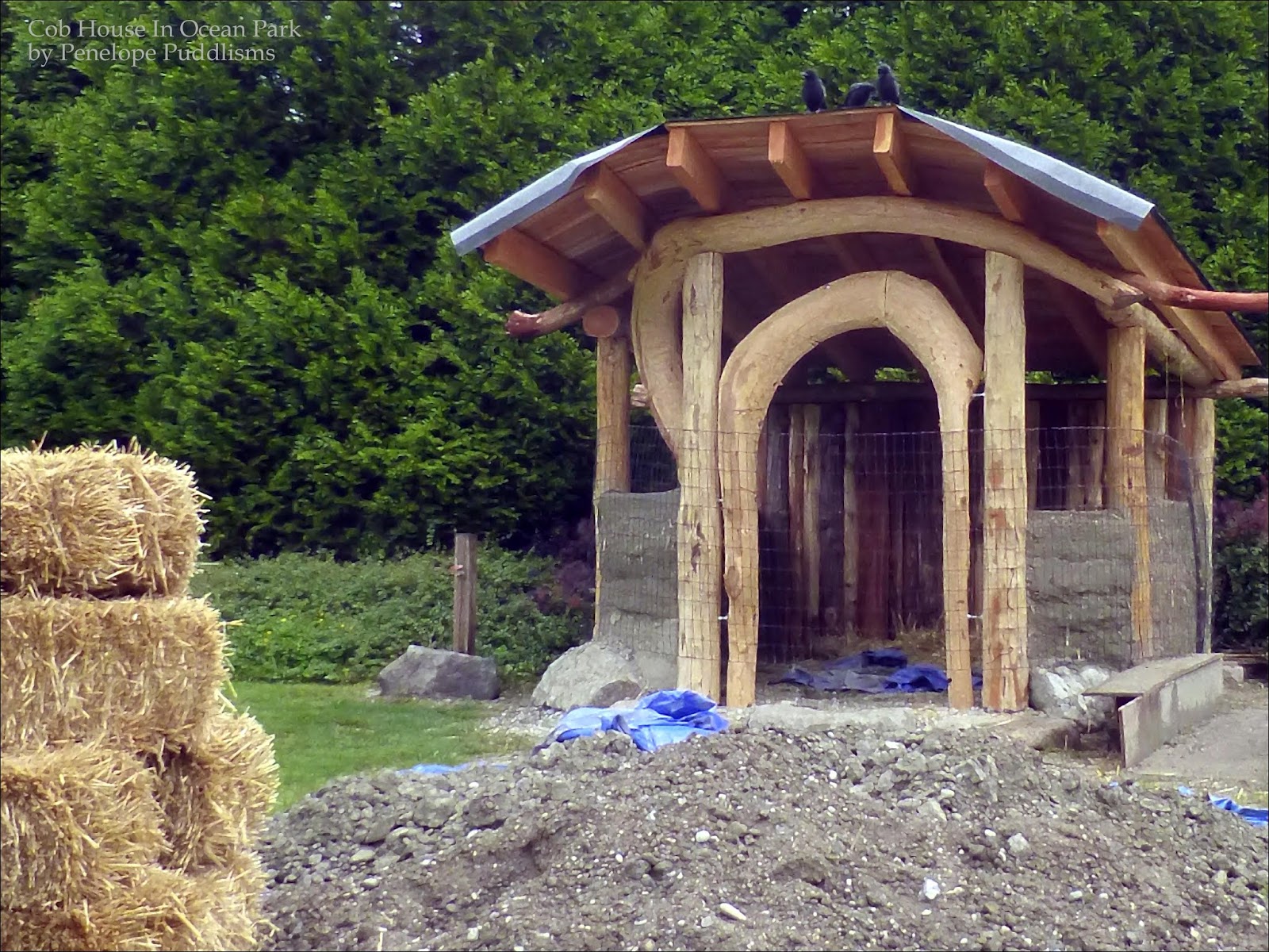 Cobbling Together A Homey Structure At Ocean Park's Orchard