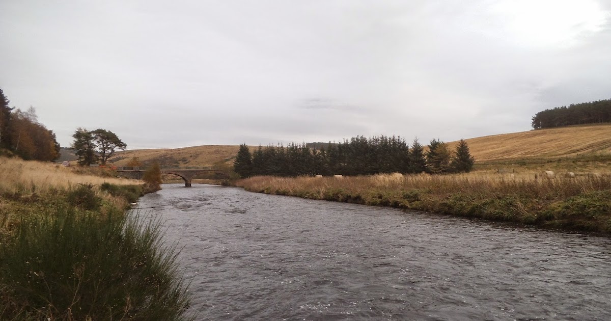 Dee & Don Salmon Fishing: Upper River Don