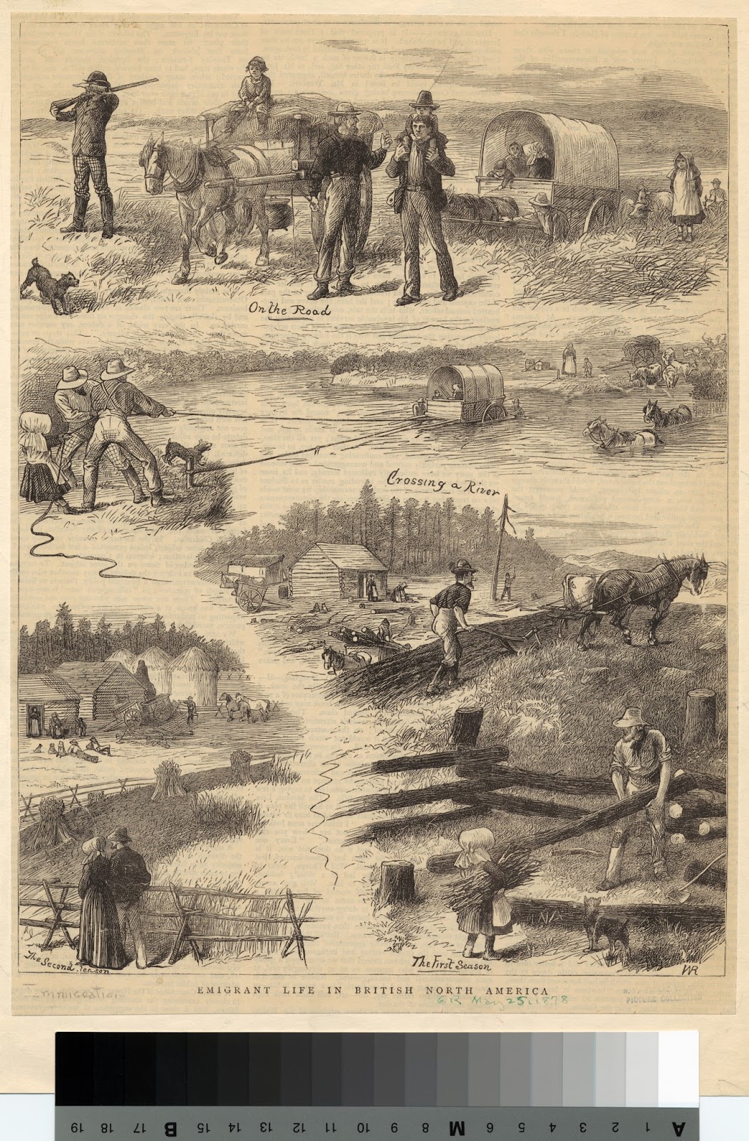 All This Is That: Life in British North America engraving, circa 1878