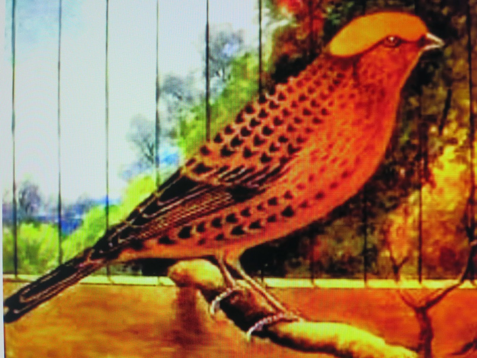 Canary Tales: Don't Miss The Lizard Canary Seminar at National Cage ...