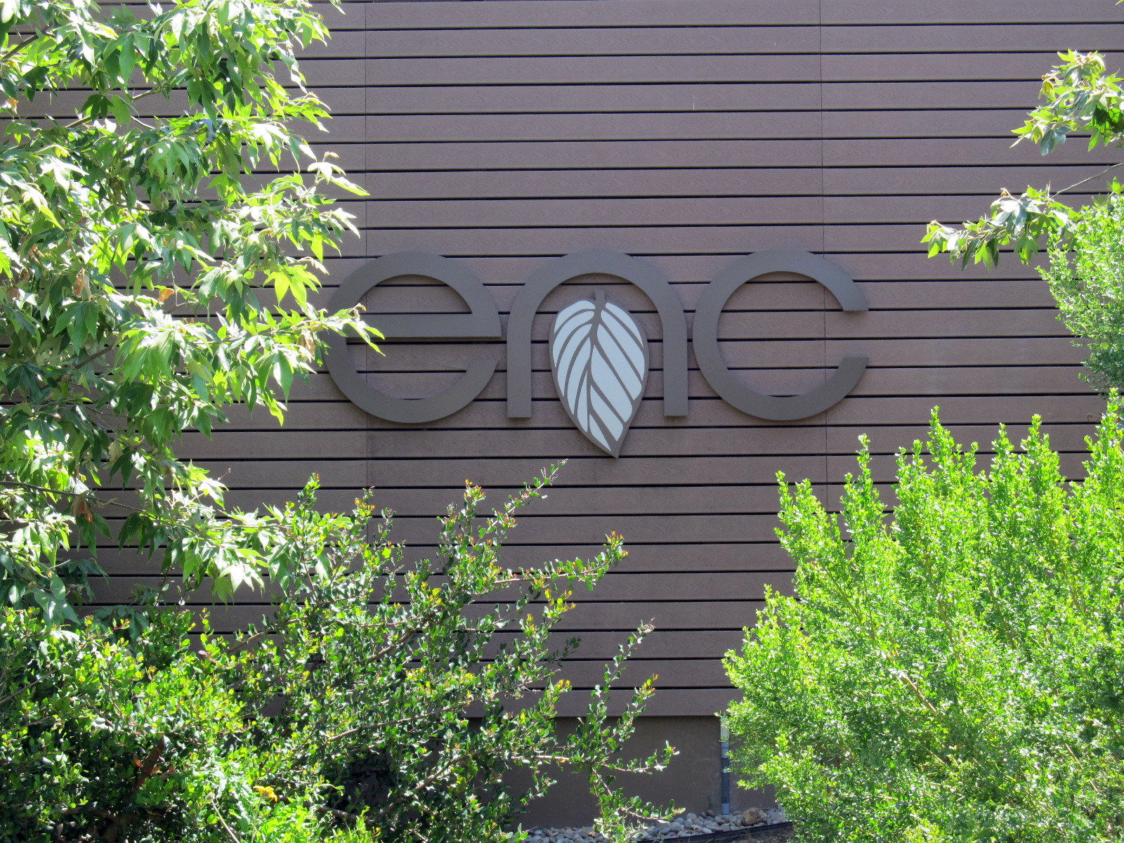 Life with Dylan: Summertime means Nature Camp at the ENC