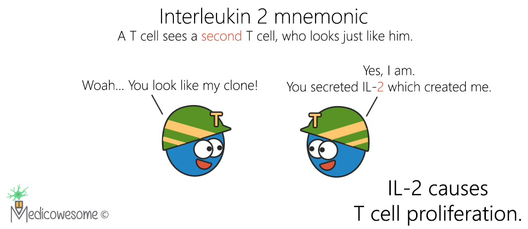 Immense Immunology Insight: Interleukin-2 (IL-2) mnemonic