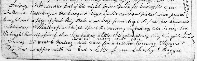 TheAncestorFiles: Ann Prior Jarvis Diary — April 18-24, 1884