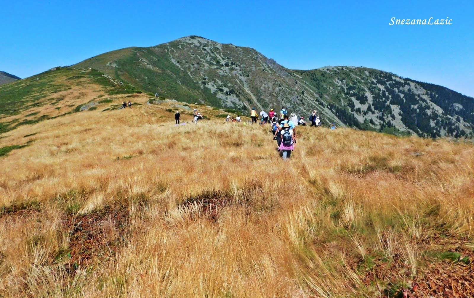 SELA I PLANINE PIROTSKOG OKRUGA : DUPLJAK-GOLEMA ČUKA