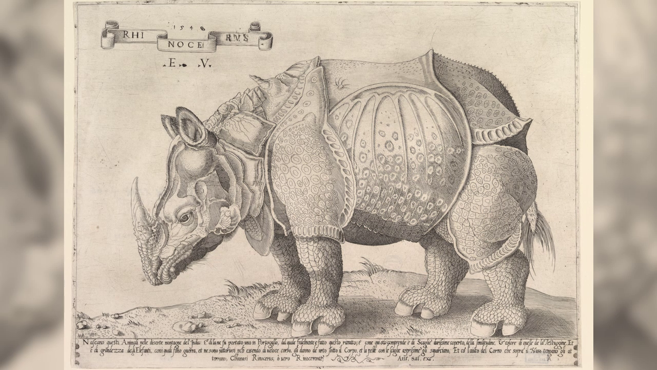 Rinoceronte | Alberto Durero | 1515 | British Museum | Londres ...