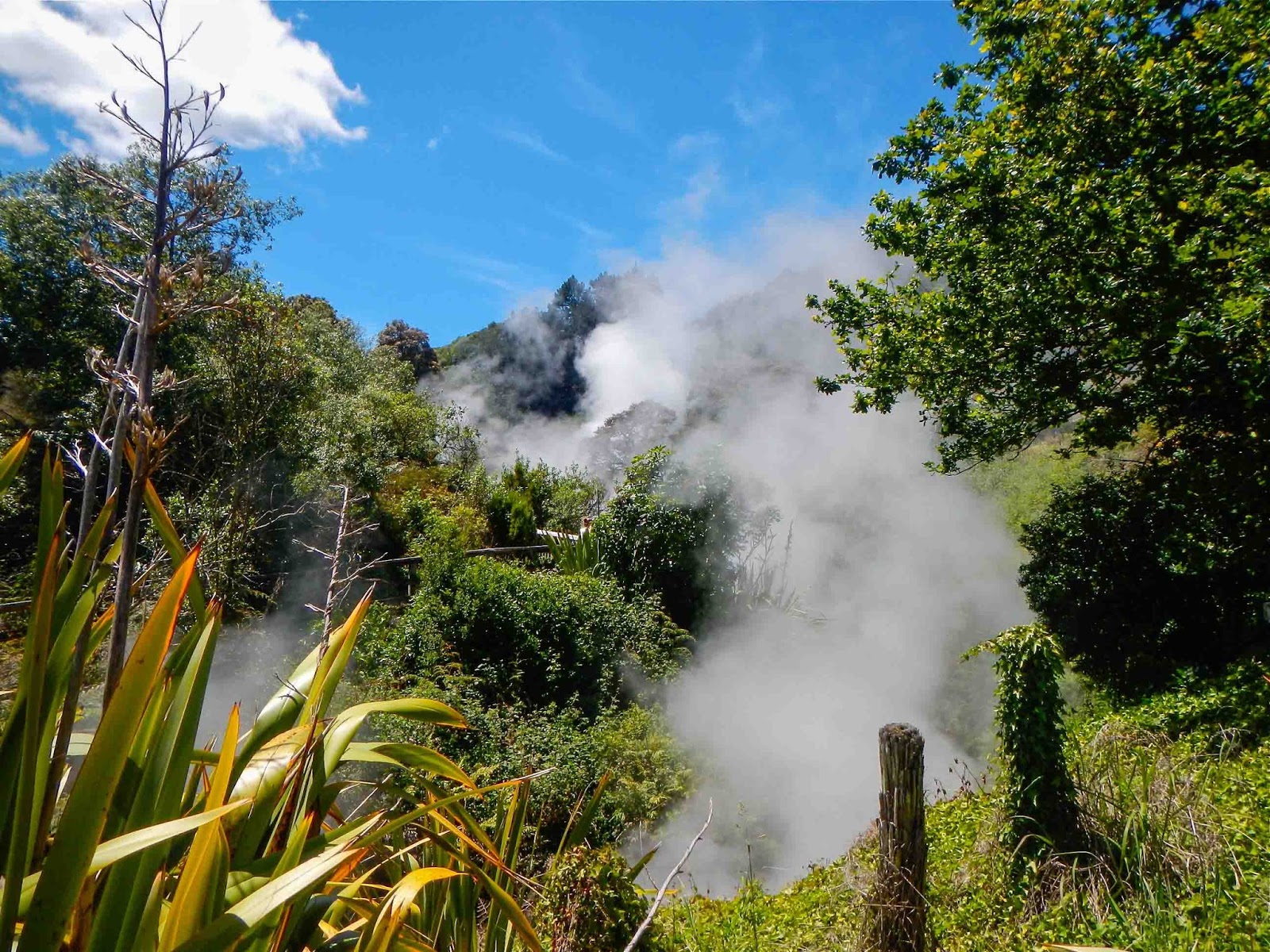 Along for the ride: Hot Springs North Island, New Zealand