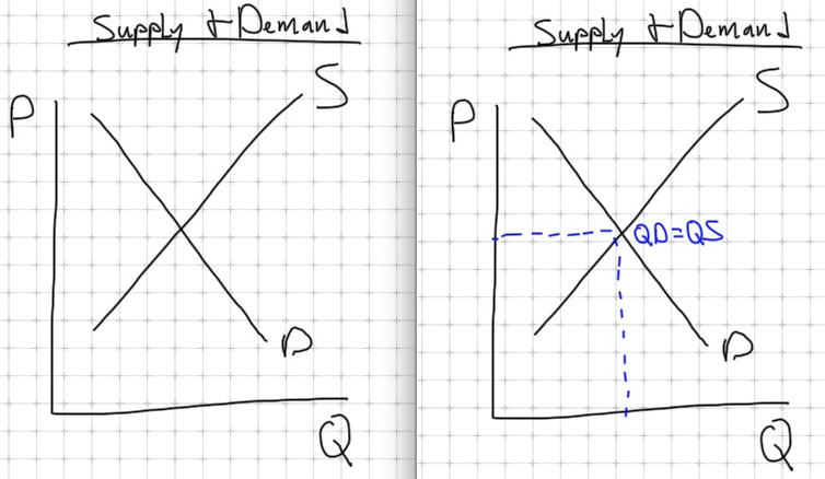 Macroeconomics AP: Market Forces: Supply and Demand