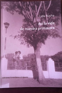 La ficción del olvido: 3 POEMAS DE LIDIA ROCHA