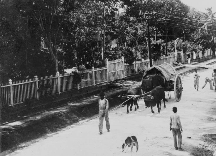 San Juan in the 1900s – 30 Vintage Pictures Show the Capital of Puerto ...
