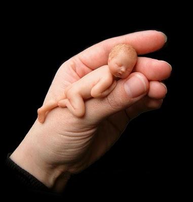 Baby Sculptures ~ Amazing World