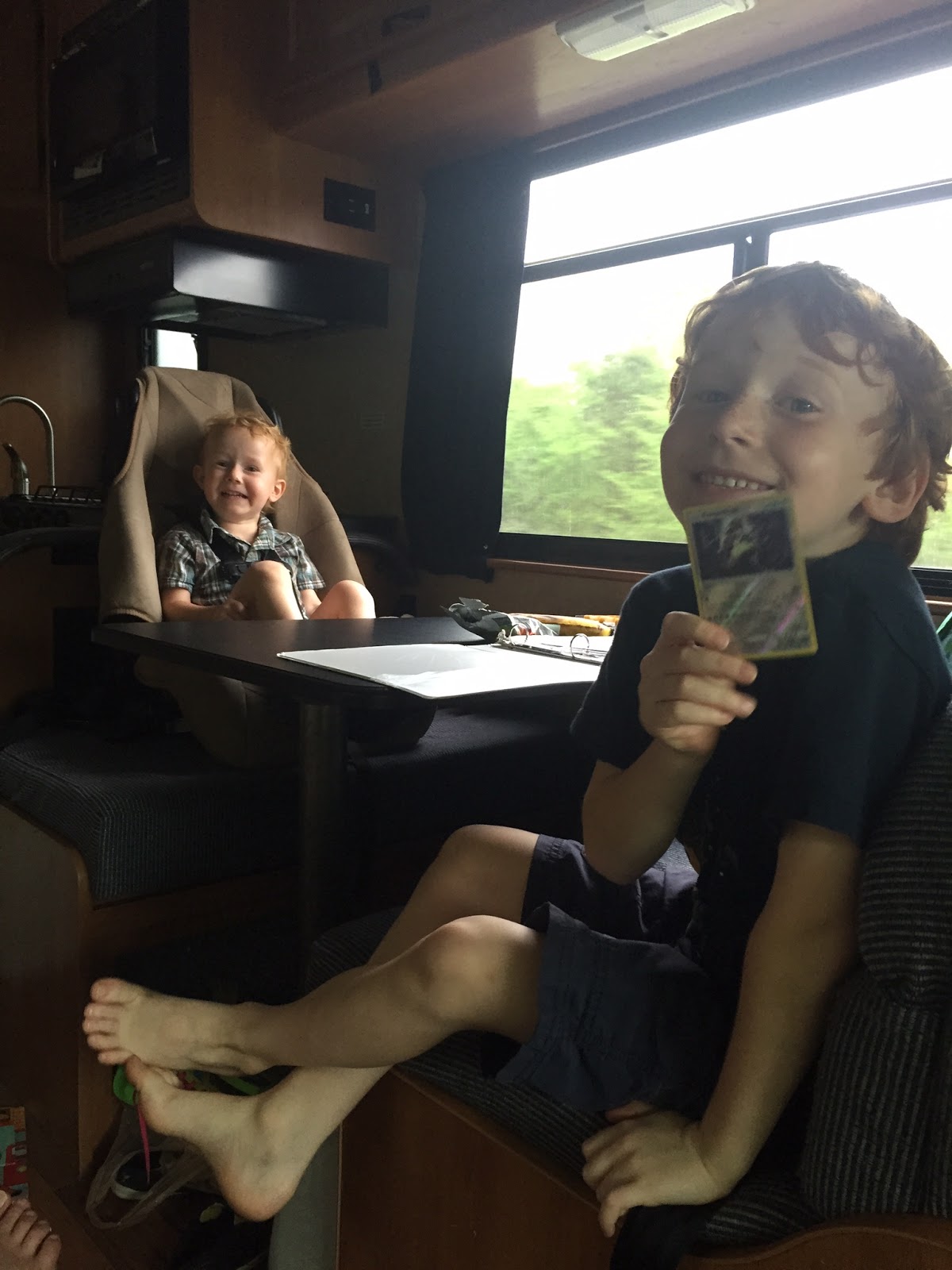 Where Lilli Blooms: 2017