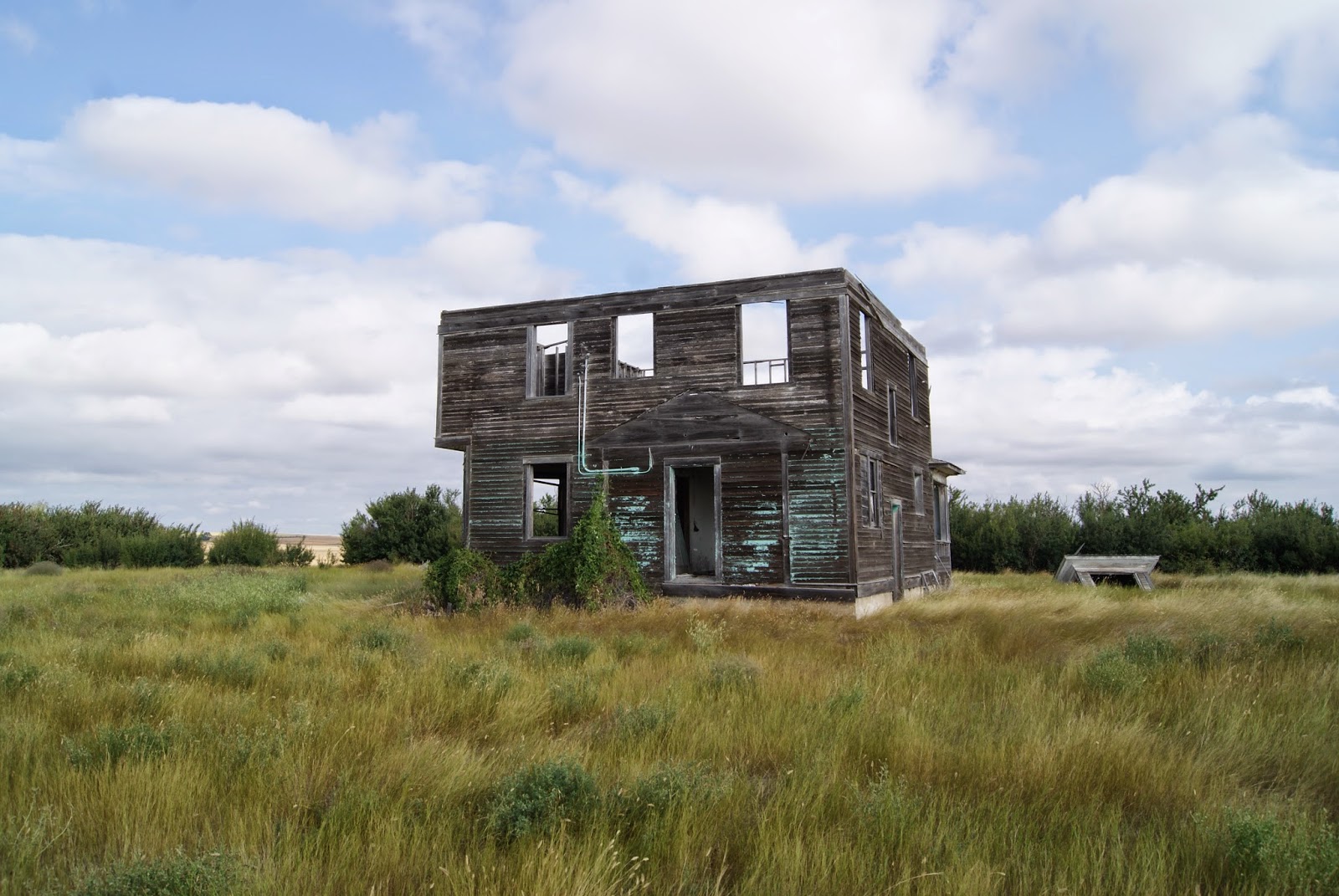 Lost But Loving It...In Alaska!: Old Yards