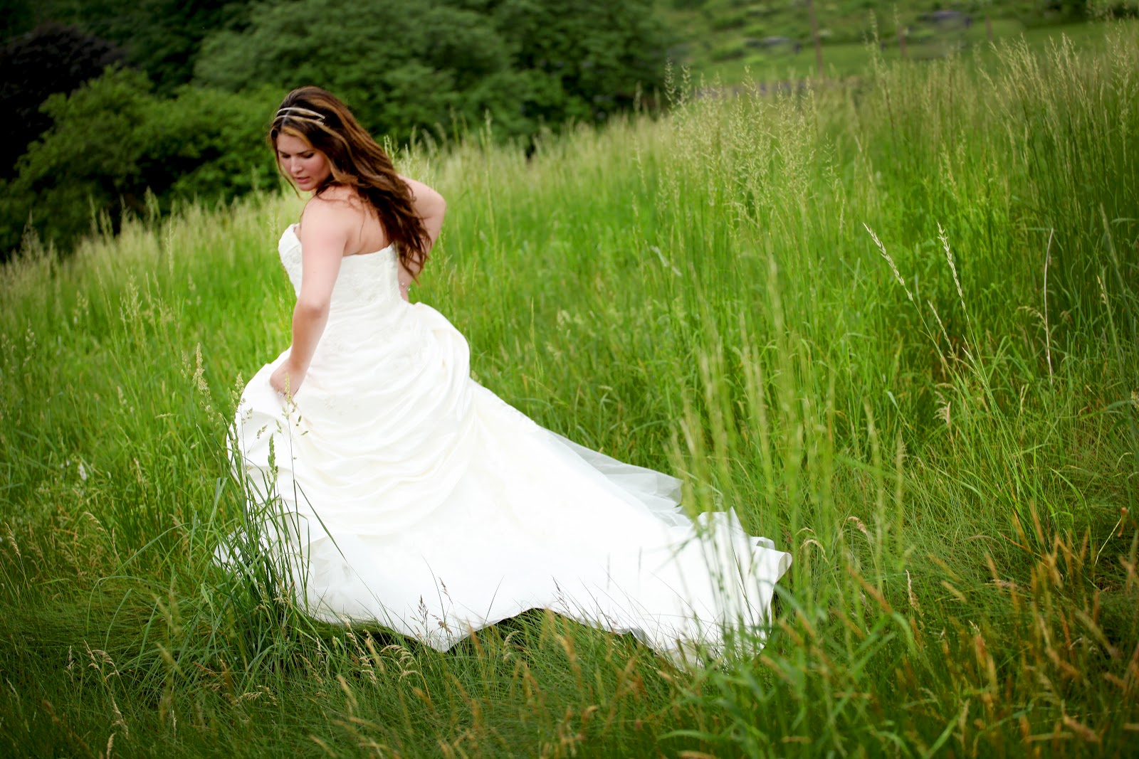 Michael Polito Photographer